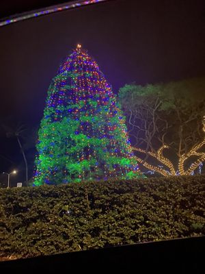 ADVENTIST HEALTH CASTLE - Updated January 2026 - 110 Photos & 157 ...