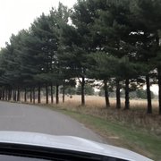 MAYBURY STATE PARK - 198 Photos & 45 Reviews - Parks - 20145 Beck Rd ...