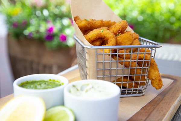 TWENTY6 - Updated December 2025 - 553 Photos & 455 Reviews - 49-499 ...