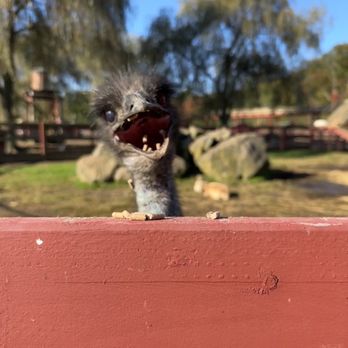 SILVERMAN’S FARM - Updated July 2025 - 185 Photos & 135 Reviews - 451 ...