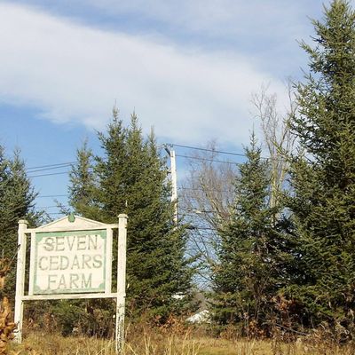 SEVEN CEDARS FARM - Updated November 2025 - 10 Photos & 15 Reviews - 7 John Mowry Rd, Smithfield ...