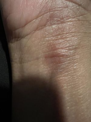 ORTHOVIRGINIA - Updated January 2026 - 13 Photos & 22 Reviews - 7650 E ...