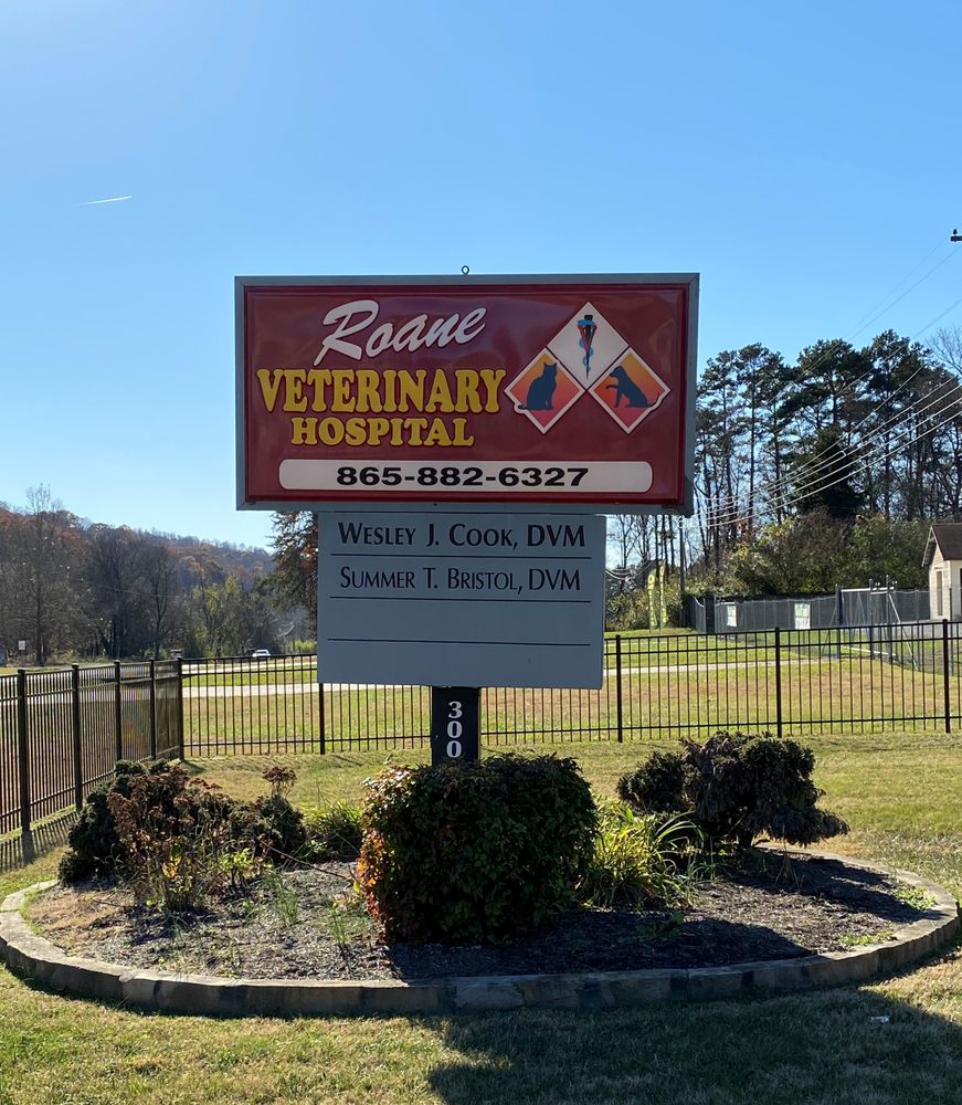 ROANE VETERINARY HOSPITAL - Updated December 2025 - 3000 Roane State ...