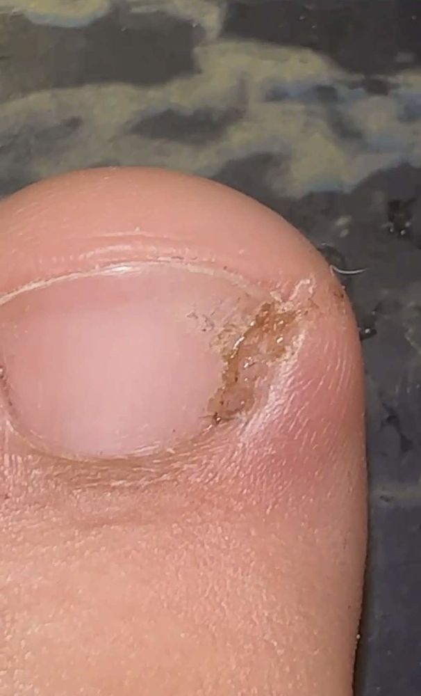 HUSKER NAILS & SPA - 20 Photos & 35 Reviews - 4900 N 26th St, Lincoln ...