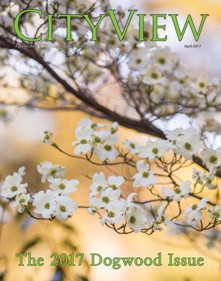 CITYVIEW MAGAZINE - Updated May 2026 - 10 Photos - 2919 Breezewood Ave ...