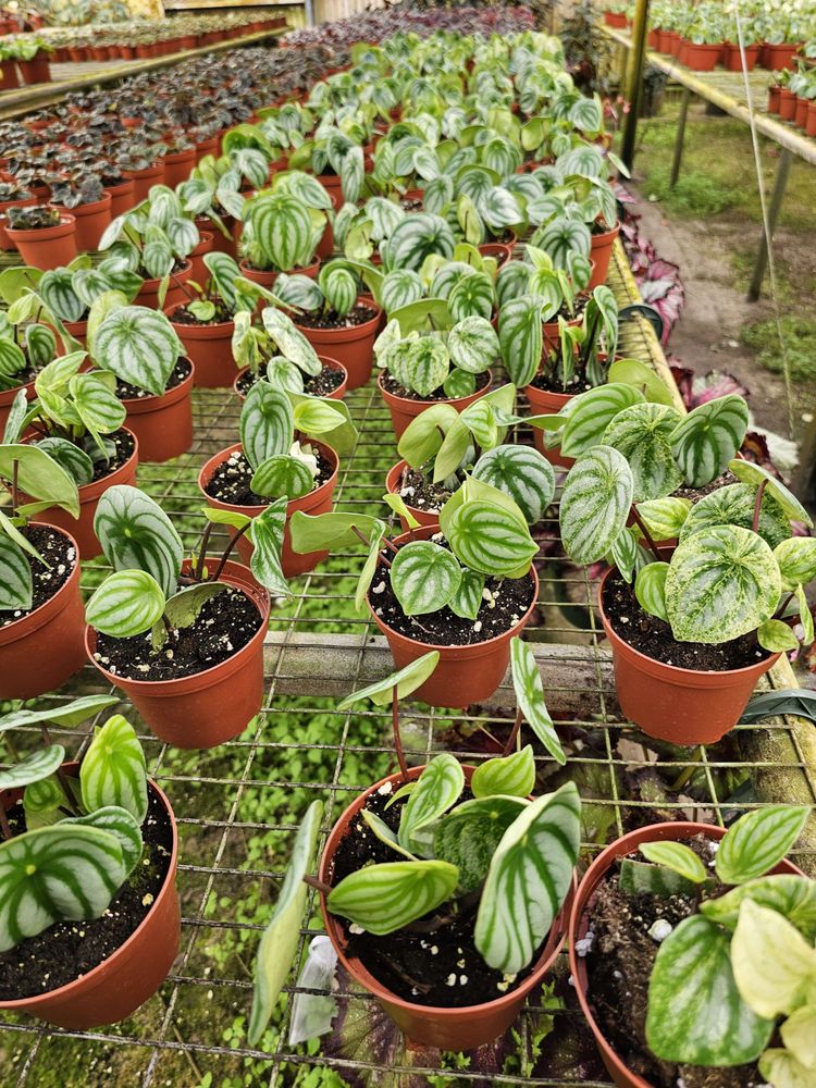 HARMONY FOLIAGE FARM with photos - Updated August 2024 - 15 Photos ...