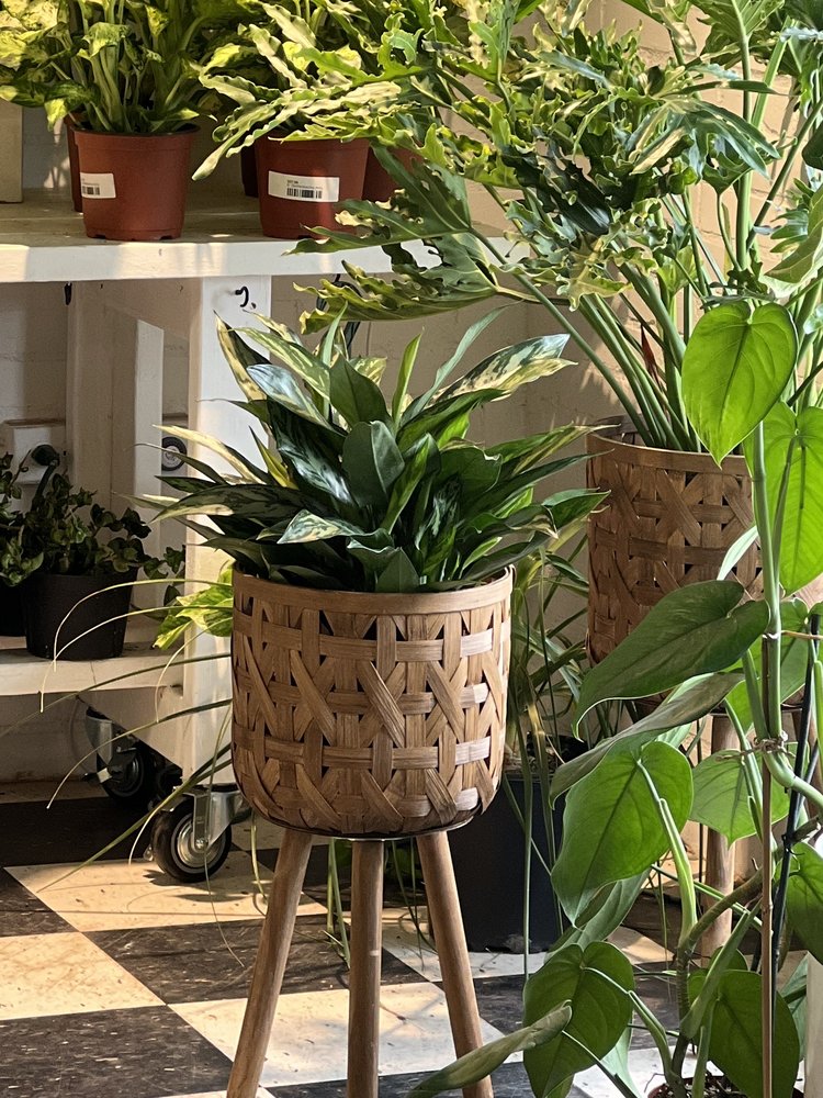 FAMOUS IN OREGON - Updated January 2026 - 31 Photos & 24 Reviews - 102 ...