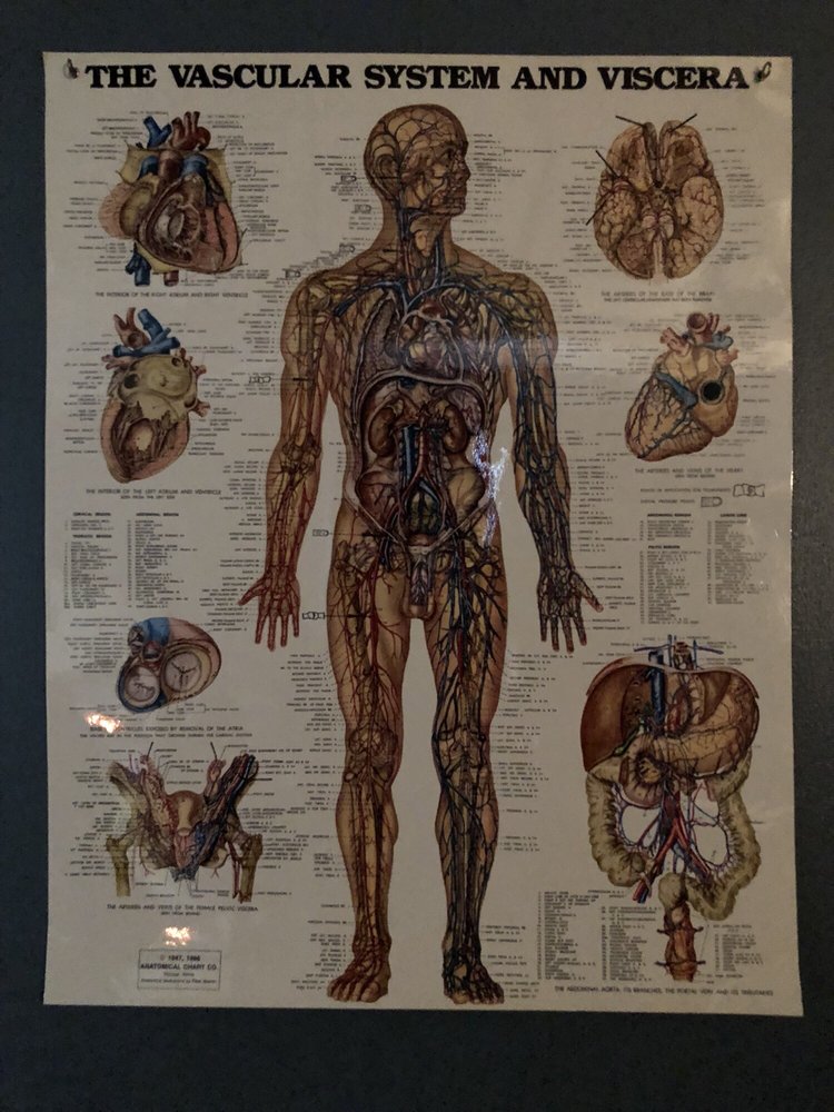 World Therapy Center, Atlanta | Roadtrippers