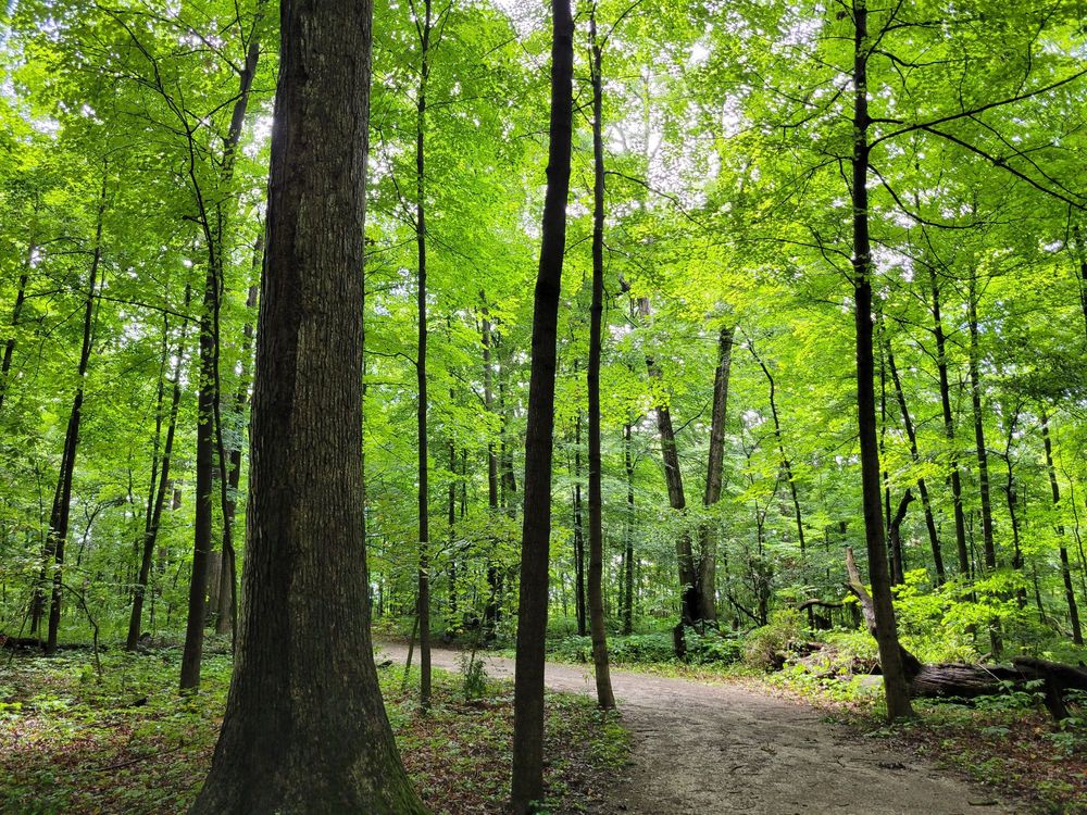 HAVENER PARK - Updated December 2025 - 4085 Liberty Rd, Delaware, Ohio ...