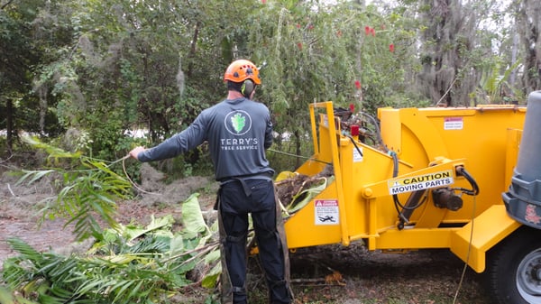 TERRY’S TREE SERVICE - Updated March 2026 - 12 Photos & 25 Reviews ...