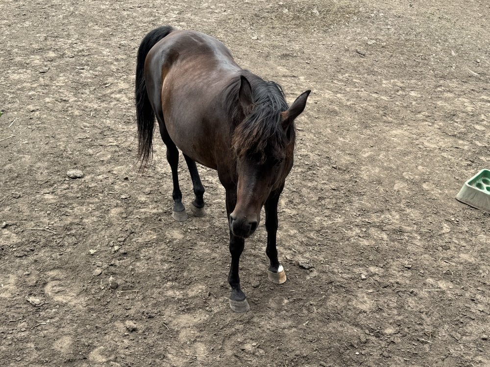 UC ELKUS RANCH ENVIRONMENTAL EDUCATION CENTER - Updated January 2026 ...