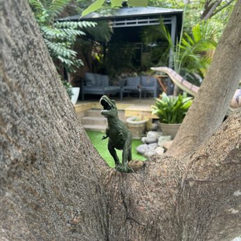 HIDDEN GROUNDS COFFEE - Updated August 2024 - 179 Photos & 53 Reviews ...