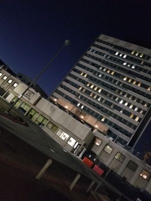 EDWARD HINES JR VA HOSPITAL - Updated May 2025 - 208 Photos & 54 ...