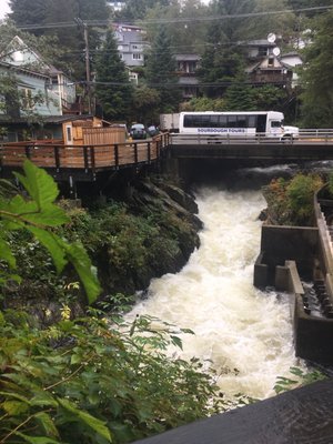 SALMON LADDER VISTA - 13 Photos - 661 Park Ave, Ketchikan, AK - Yelp