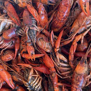 CAPTAIN SID’S SEAFOOD - Updated November 2024 - 59 Photos & 66 Reviews ...