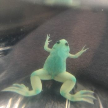 THE FISH STORE - Updated December 2025 - 12 Reviews - 921 N 48th St ...