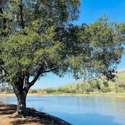 SANDY WOOL LAKE - 72 Photos & 16 Reviews - Lakes - 3248 Levin Park ...