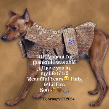 PENINSULA HUMANE SOCIETY & SPCA - Updated December 2025 - 83 Photos ...