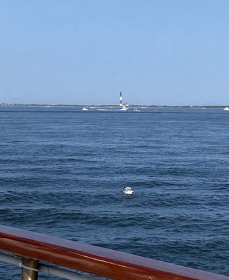 CAPTAIN WHITTAKER FAMILY FISHING - Updated August 2025 - 28 Photos & 10 ...