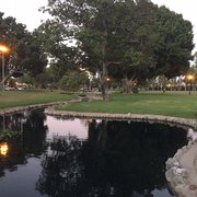 PEARSON PARK & POOL - 92 Photos & 30 Reviews - Swimming Pools - 400 N ...