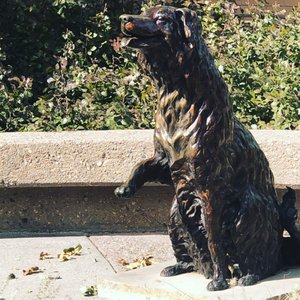 HARMONY LIBRARY - POUDRE RIVER PUBLIC LIBRARY DISTRICT - Updated ...