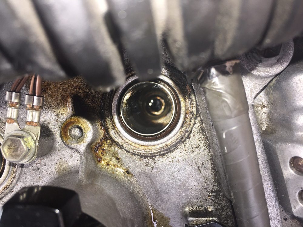 LEXUS OF SUTHERLAND - Updated April 2024 - 5-17 Waratah St, Kirrawee ...