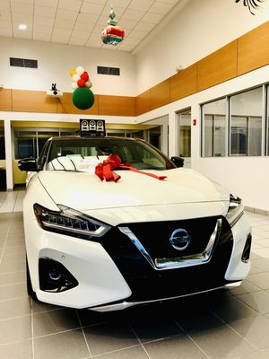 UNIVERSAL NISSAN - 209 Photos & 175 Reviews - 12785 S Orange Blossom ...