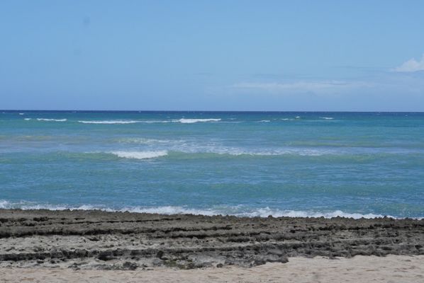 NIMITZ BEACH - Updated December 2025 - 146 Photos & 41 Reviews - Coral ...