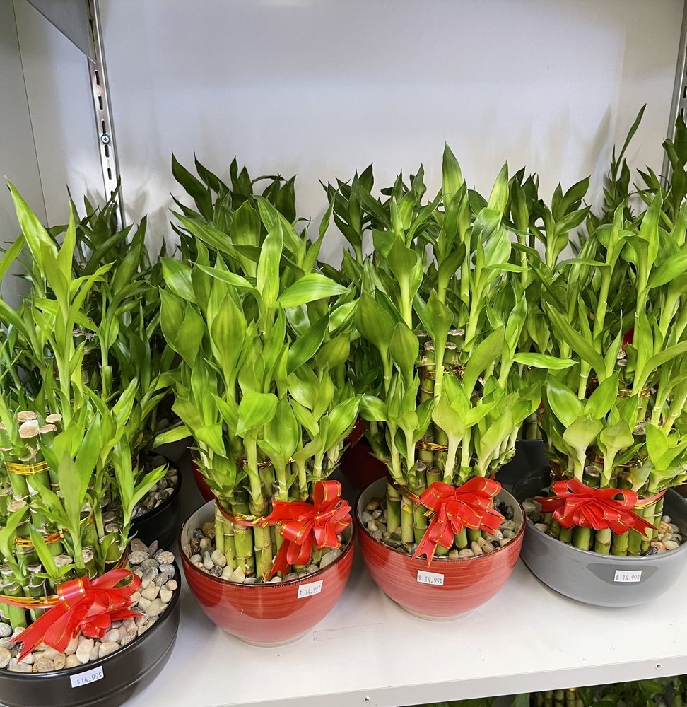 TEN DOLLAR STORE - Updated October 2025 - 58 Photos - 1010 N Davis Rd ...