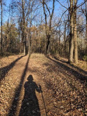 PAUL RUSTER PARK - Updated October 2025 - 58 Photos & 15 Reviews ...