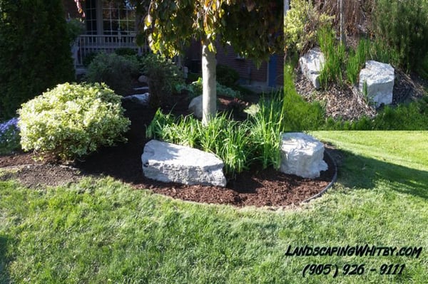 WHITBY LANDSCAPING & GARDENING - Updated August 2025 - 68 Photos - 511 ...