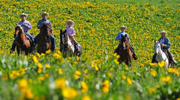 DEL’S TRIANGLE 3 RANCH - Updated October 2025 - 102 Photos & 92 Reviews ...