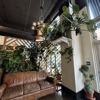 PARABLE CAFE - Updated July 2024 - 385 Photos & 167 Reviews - 149 S ...