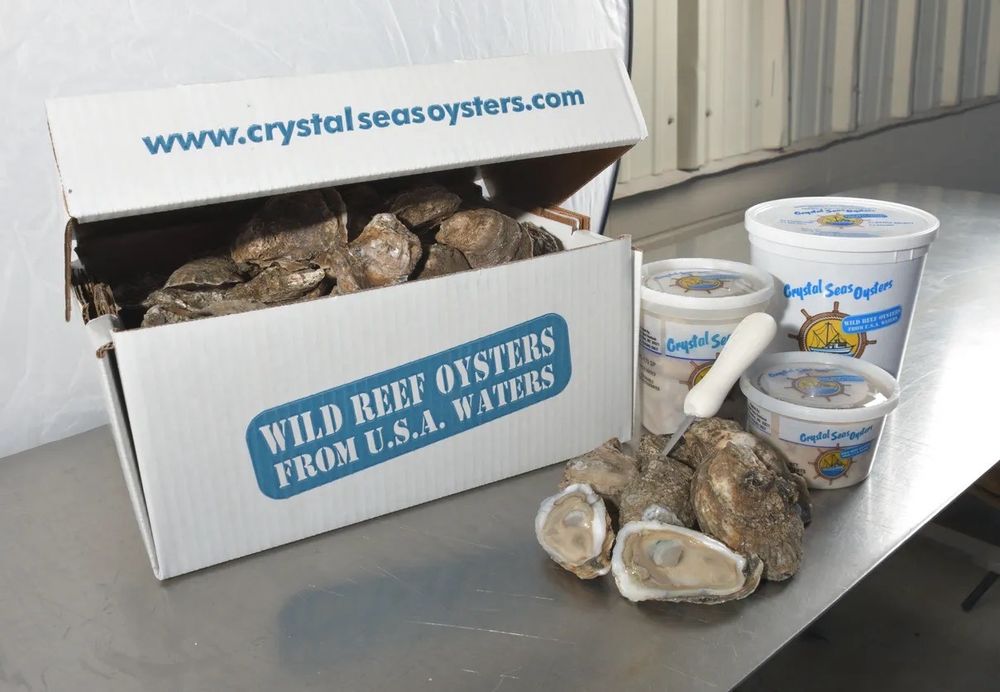 CRYSTAL SEAS SEAFOOD - Updated July 2025 - 166 W North St, Pass ...