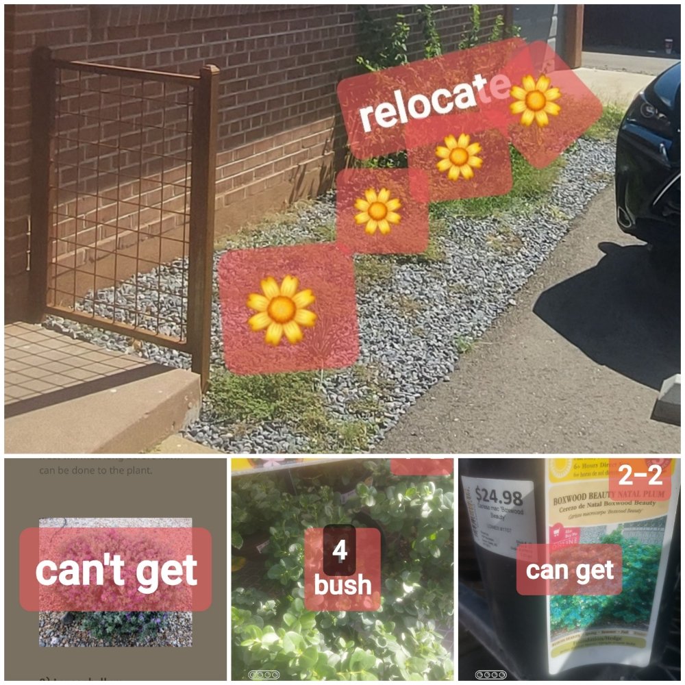 HOT MESS CLEANING & LANDSCAPE SERVICES - Updated April 2025 - 138 ...