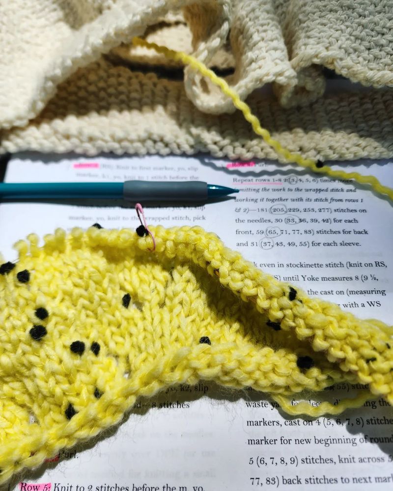 THE FIBER STUDIO BY SWISS POINTE - Updated October 2025 - 11 Photos ...