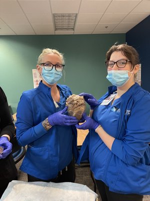 INSTITUTE OF TECHNOLOGY - Updated September 2024 - 121 Photos - 1755 ...