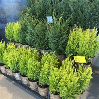 WHOLE FOODS MARKET - Updated June 2026 - 243 Photos & 89 Reviews - 1555 ...