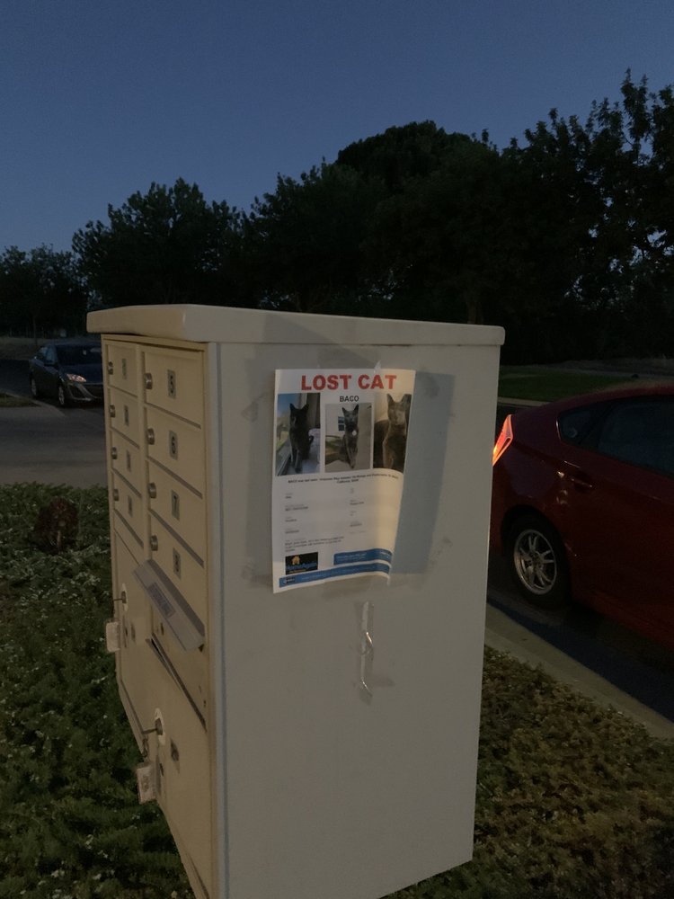 US POST OFFICE - Updated November 2025 - 10 Photos & 35 Reviews - 2334 ...