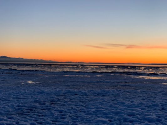 CARR-GOTTSTEIN PARK - Updated December 2024 - 37 Photos - 3130 ...