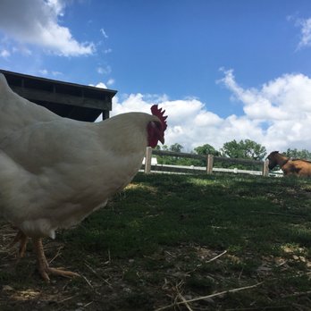 PARKY’S FARM - Updated January 2026 - 20 Photos - 10037 Daly Rd ...