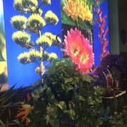 MESQUITE VALLEY GROWERS NURSERY - 392 Photos & 194 Reviews - 8005 E ...