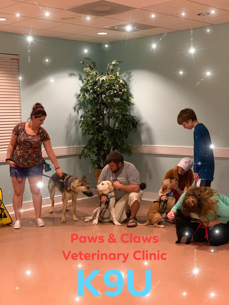 PAWS & CLAWS VETERINARY CLINIC - 15 Photos - 94 Andrews Way, St. Marys ...