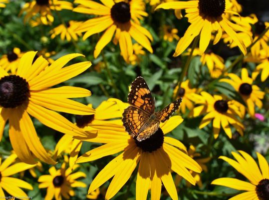 MAGNETIC SPRINGS - Updated October 2025 - 21 Photos - Magnetic Dr ...