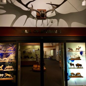 PUTNAM MUSEUM AND SCIENCE CENTER - Updated December 2025 - 118 Photos ...