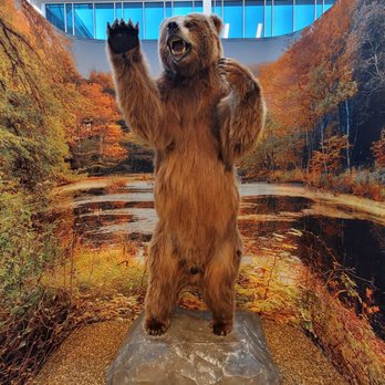 SCHEELS - Updated December 2024 - 649 Photos & 196 Reviews - 4450 ...