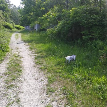 QUARRY RUN DOG PARK - Updated December 2025 - 25 Photos & 20 Reviews ...