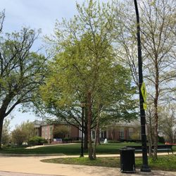 PARK RIDGE PUBLIC LIBRARY - 28 Photos & 27 Reviews - 20 S Prospect Ave ...