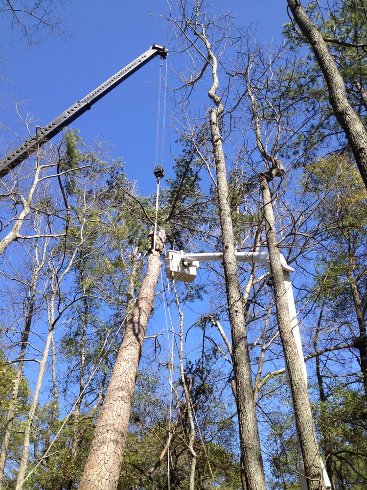 HULTGREN TREE SERVICE - Updated May 2025 - Florence, South Carolina ...