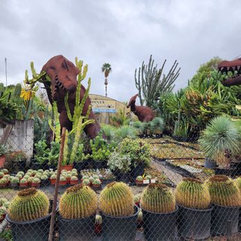 CALIFORNIA CACTUS RANCH - Updated December 2025 - 350 Photos & 91 ...